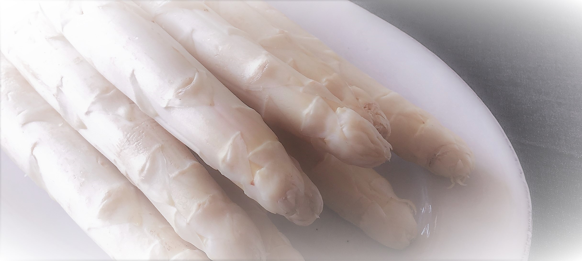 Photo Gallery | 料理家・長内みほこのオフィシャルページ